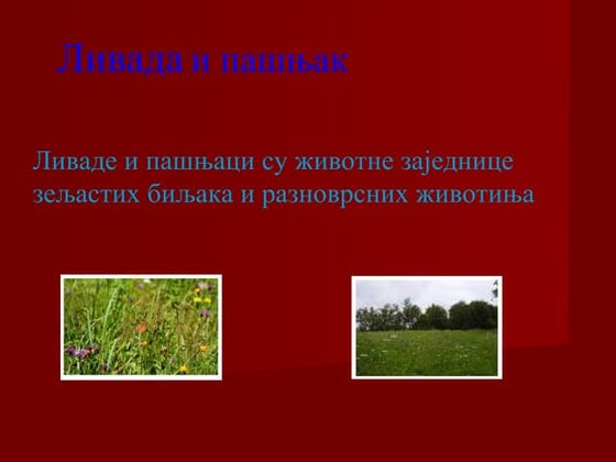 Ziva i neziva priroda | PPT