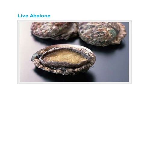 Live abalone | DOCX