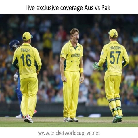 Live cricket aus vs pak hot stream | PPT