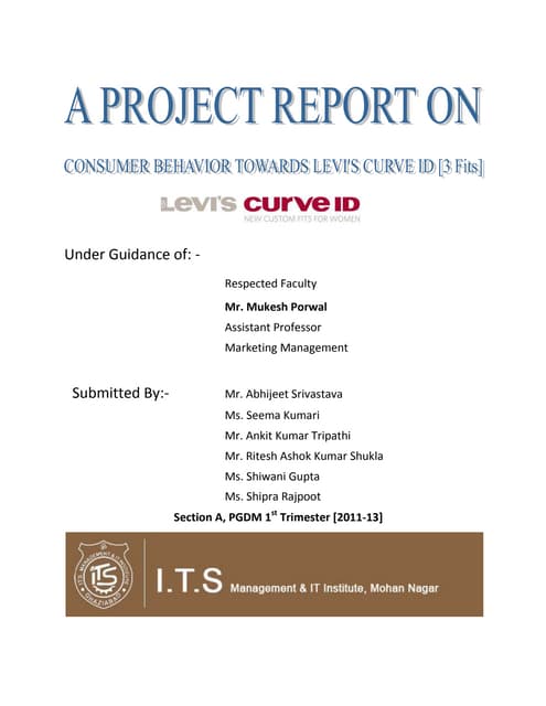 Levi's brand ladder | PPT