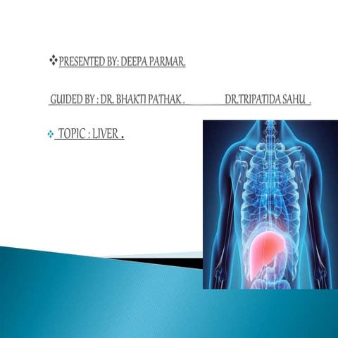 liver.pptx