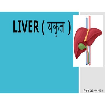 Gross anatomy and histology of liver | PPT