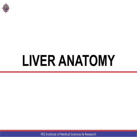 THE ANATOMY OF THE LIVER AND PATHOLOGIES.pptx