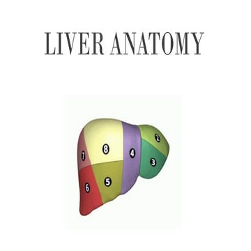 Liver ct anatomy 2.pptx