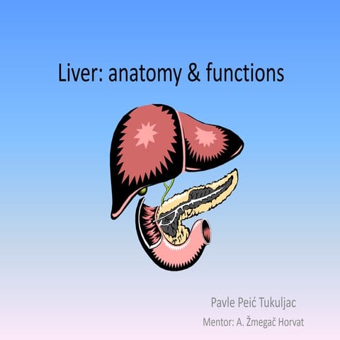liver anatomy.ppt