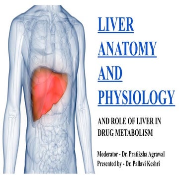 LIVER ANATOMY AND PHYSIOLOGY AND ROLE IN DRUG METABOLISM.pptx