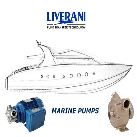 Liverani Marine Pumps | PPT