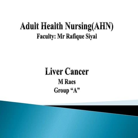Liver Cancer Understanding, Risks, and Care | PDF