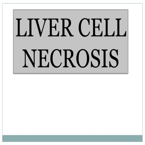 liver cell necrosis and its significance.pptx