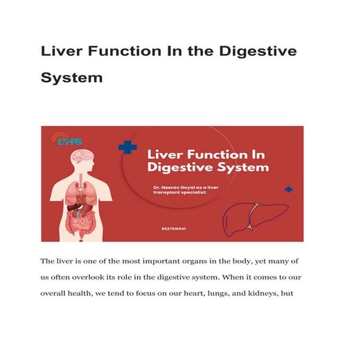 Liver Function In the Digestive System.pdf