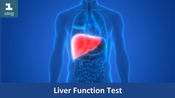 liver function test | DOCX | Blood Disorders | Diseases and Conditions