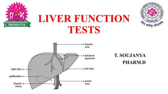 Evidence based medicine | PPTX | Cancer | Diseases and Conditions