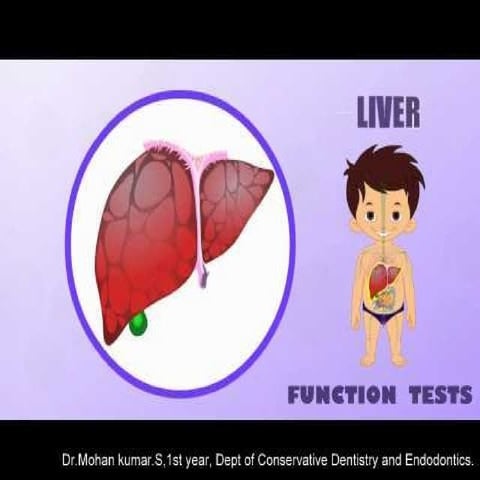 Liver Function Tests and Jaundice with types.ppt
