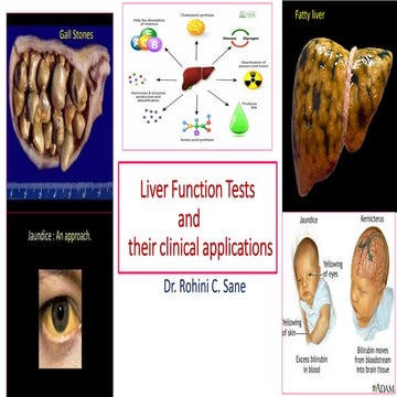 Liver function tests and their clinical applications | PDF