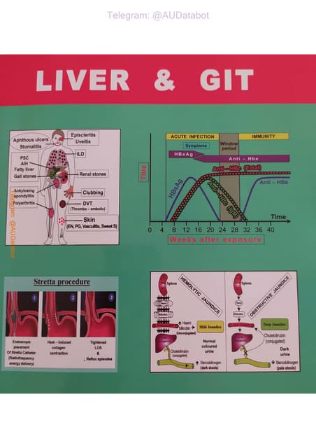 Pulmonology mcqs -dr.ahmed_mowafy | PDF