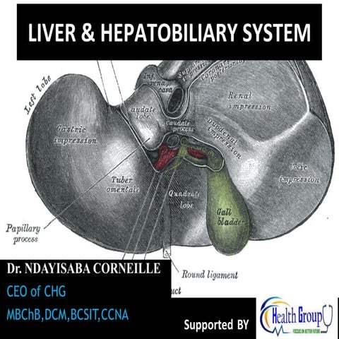 Liver & Hepatobiliary System .pptx