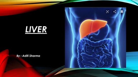 Anatomy of liver | PPT