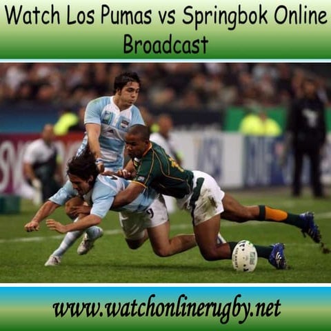 Live rugby championship los pumas vs springbok 15 aug | PPT