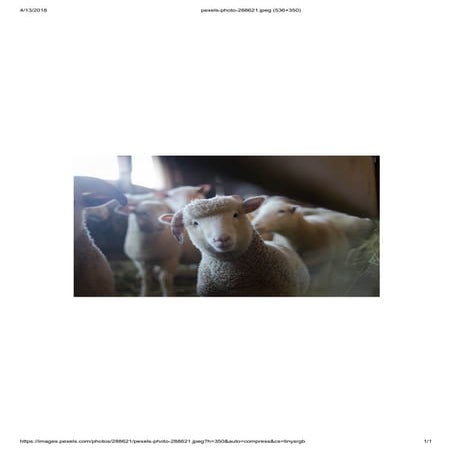 Livestock | PDF | Technology & Computing