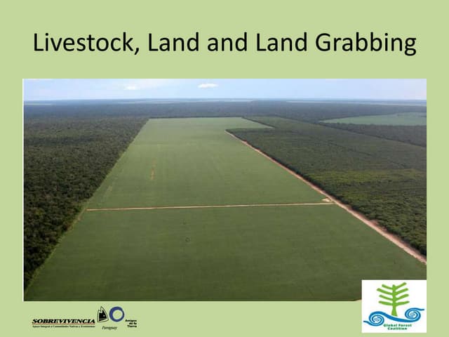Livestock, Land and Land Grabbing - CIFOR-ICRAF Knowledge