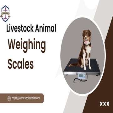 Livestock Animal Weighing Scales.pptx | Pet Supplies | Pets
