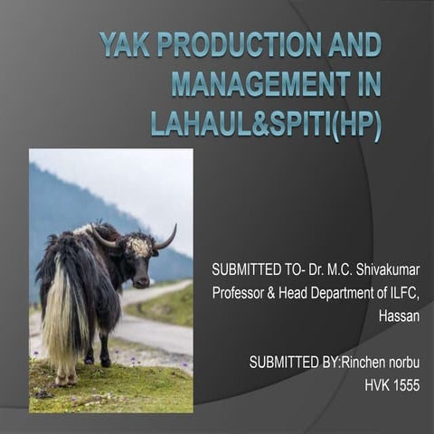 Yak production and management in lahaul& spiti (HP) | PPTX
