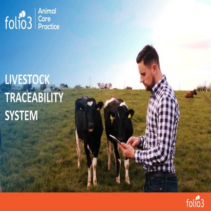 Livestock Identification and Traceability System | Beef, Sheep, Goat ...