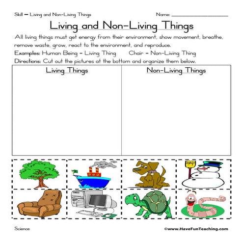 Living and-non-living-things | PDF