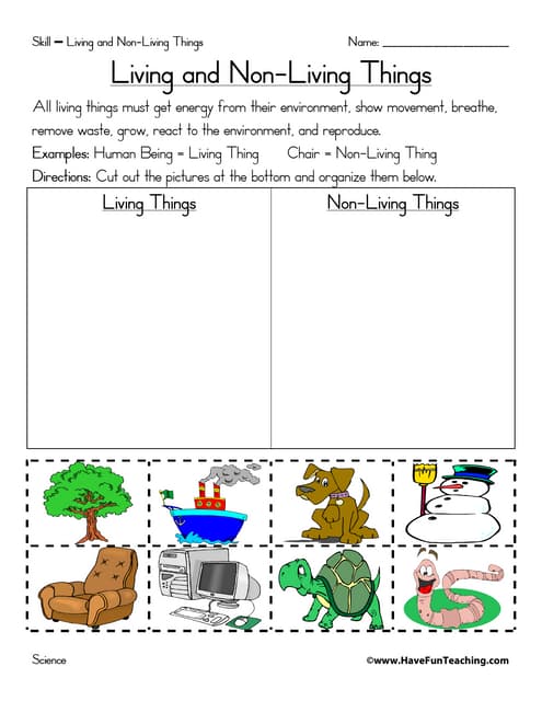 Non Living Things Pictures For Kids