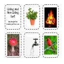 living-nonliving-flashcards.pdf