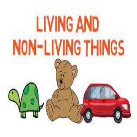 Living or-non-living(2) | PPT
