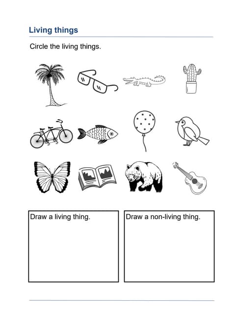Plants Stem Parts worksheets for kids... | PDF