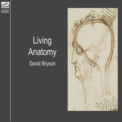 Living anatomy: Curious adventures around the Human Body | PPT