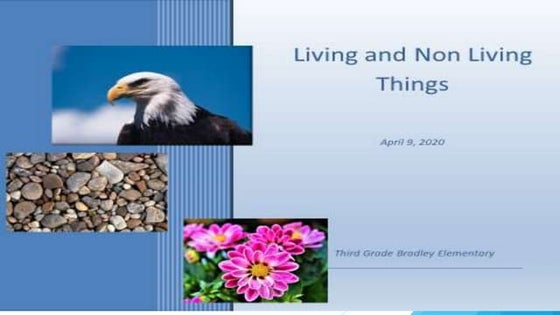 Living Things and their Environment | PDF