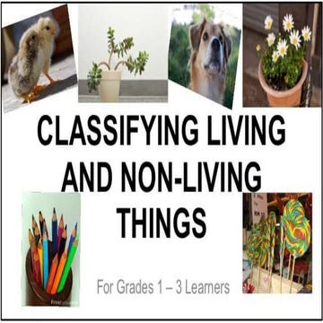 Characteristics Of Living Things | PPTX