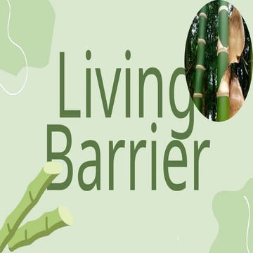 presentacion oficial del proyecto living barrier | PPTX