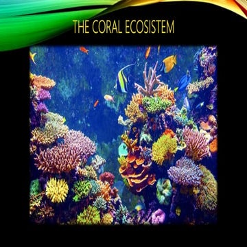 The coral ecosistem | PPTX