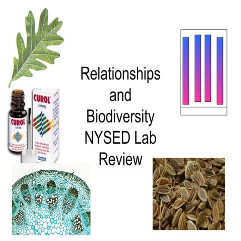 Relationships and Biodiversity State Lab Review(1) | PPT
