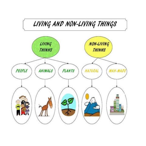 Living non living | PPT