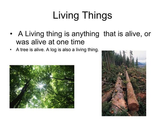 Living and nonliving things powerpoint | PPTX