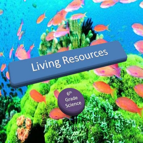 Living resources | PPSX | Environmental Services Industry | Industries