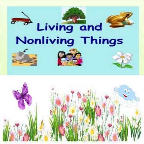 Living and non living things | PPTX