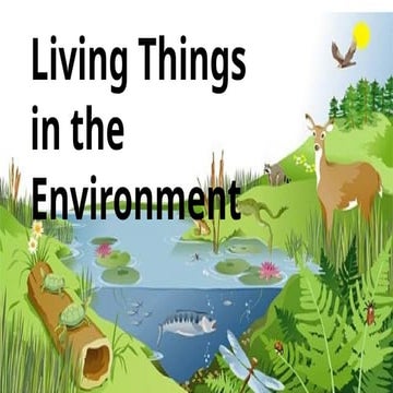 Living Things and their Environment | PDF