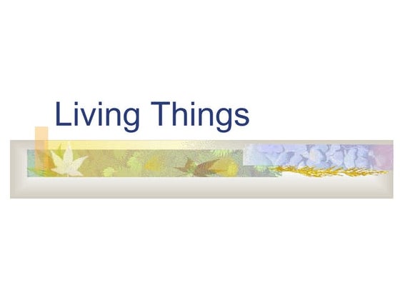 Mrs gren and kingdoms | PPT