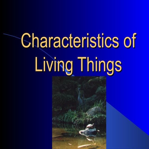 Living Things | PPT