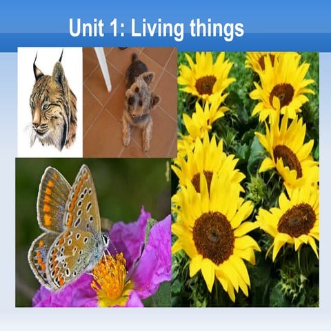 Living things | ODP | Biological Sciences | Science