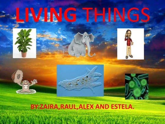 Living and non living things | PPT
