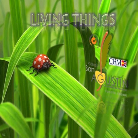 UNIT 3. NATURAL SCIENCE: LIVING THINGS | PPTX