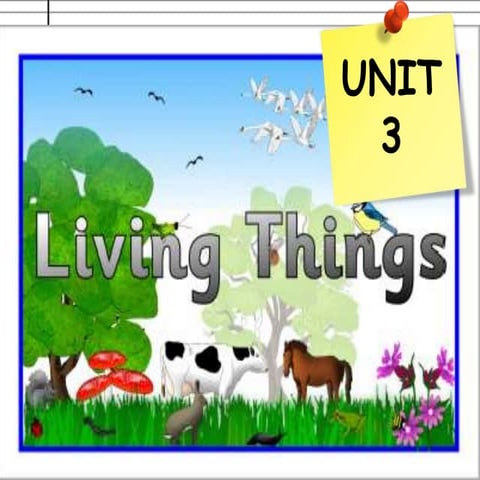 Living things | PPTX