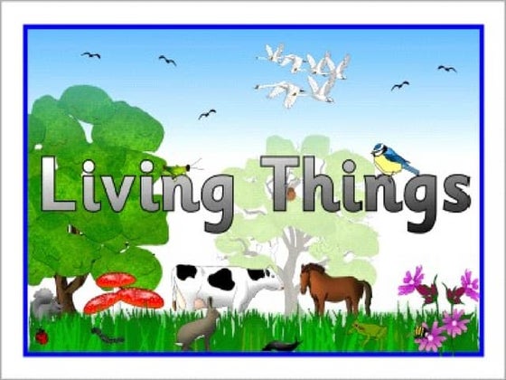Living and non living things | PPT